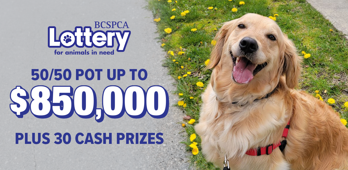 British Columbia Charitable Lotteries - Home Lottery News