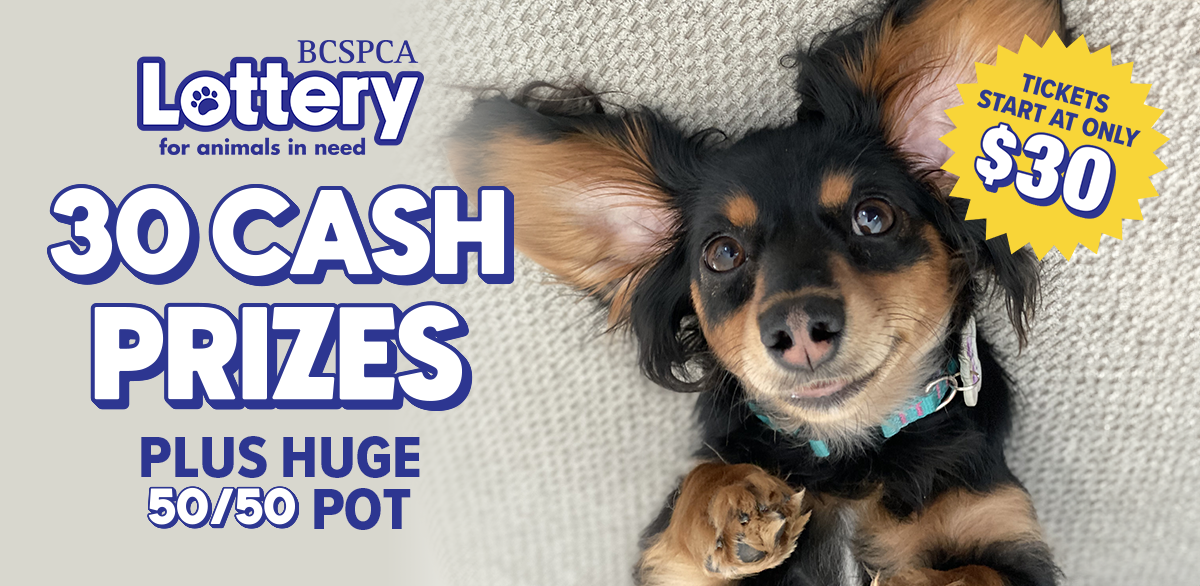 British Columbia Charitable Lotteries - Home Lottery News