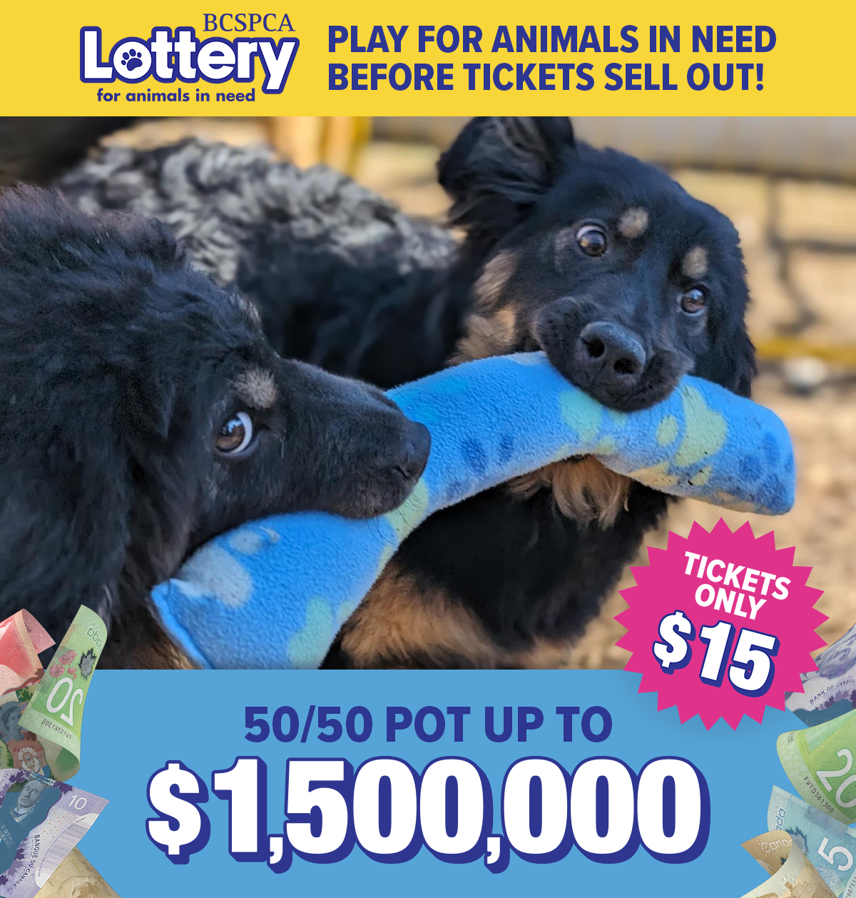 British Columbia Charitable Lotteries - Home Lottery News