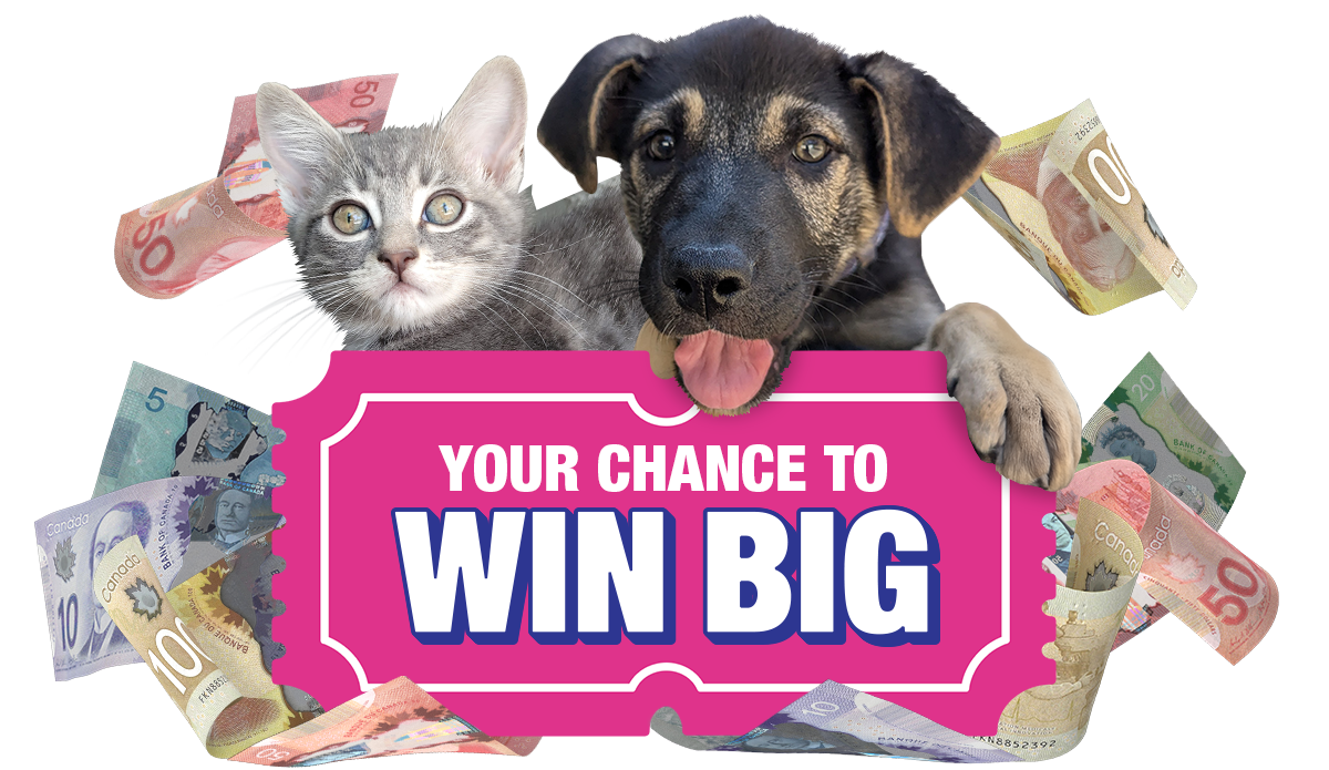 2024 BC SPCA Summer Lottery