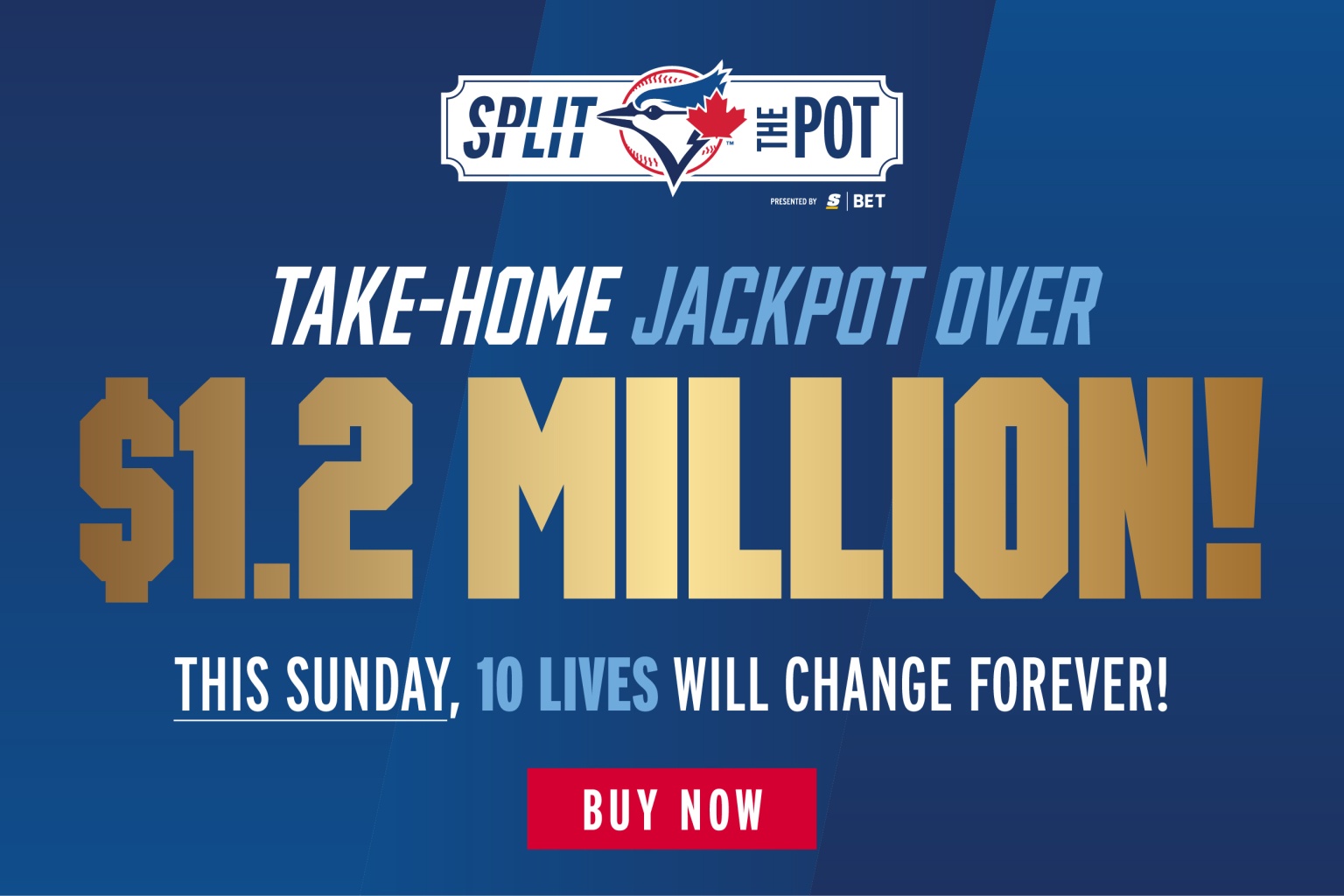 Jays Care 50/50 Raffle