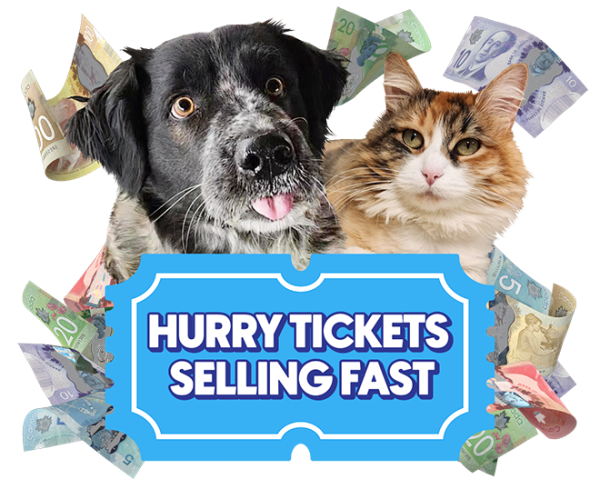 BC SPCA 50/50 tickets selling fast | The Home Lottery News™